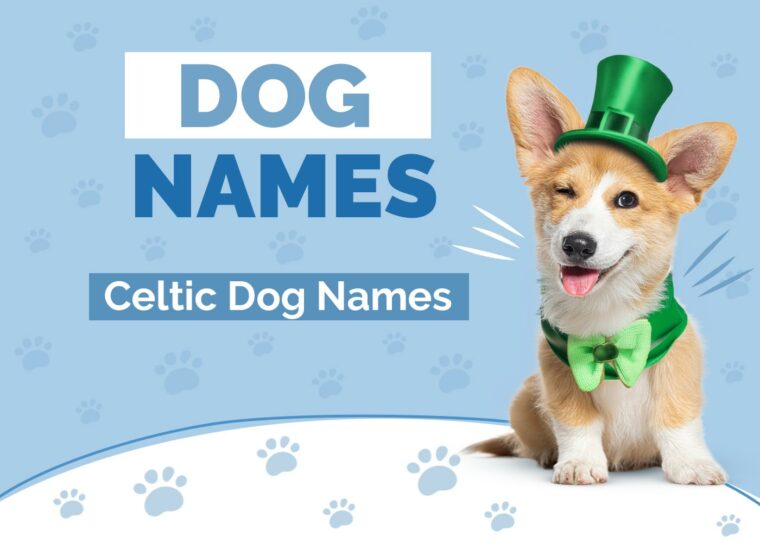 100+ Native American Dog Names: Authentic & Indigenous Ideas | Hepper ...