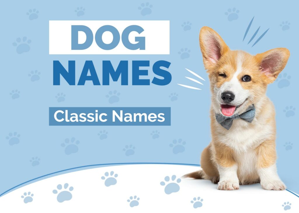 100+ Classic Dog Names: Timeless, Vintage & Old Fashioned Ideas ...
