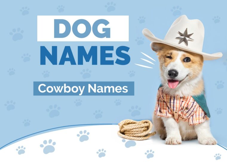 300+ Western Dog Names: Southern, Cowboy & Country Ideas | Hepper Pet ...