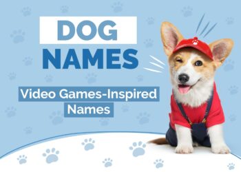 100+ Video Game Inspired Dog Names: Nerdy, Fun & Original Ideas ...
