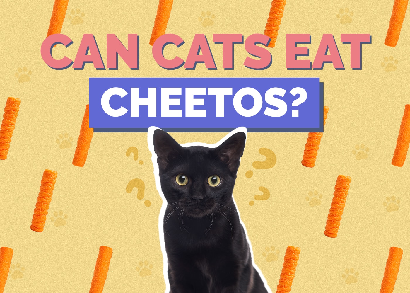 Can Dogs Eat Cheetos? Are Cheetos Safe for Dogs? Vet-Reviewed Facts ...