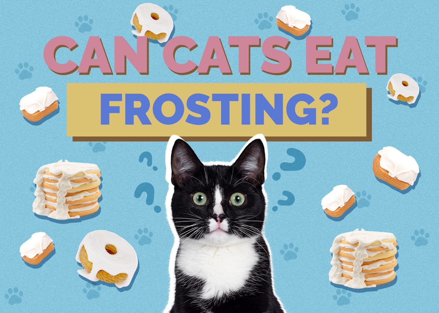 Can Cats Eat Frosting? Vet-Reviewed Facts & Safety Guide | Hepper Pet ...