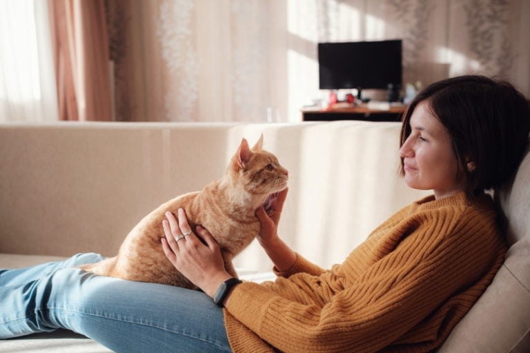 How to Get Your Cat to Cuddle (10 Expert Tips) | Hepper Pet Resources