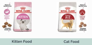 Kitten Food vs Cat Food: Vet-Reviewed Differences & Nutritional Facts ...