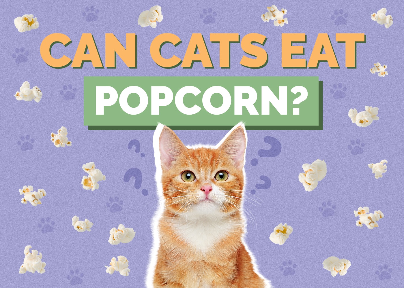 Can Cats Eat Popcorn? Vet-Reviewed Facts & Safety Tips | Hepper Pet ...