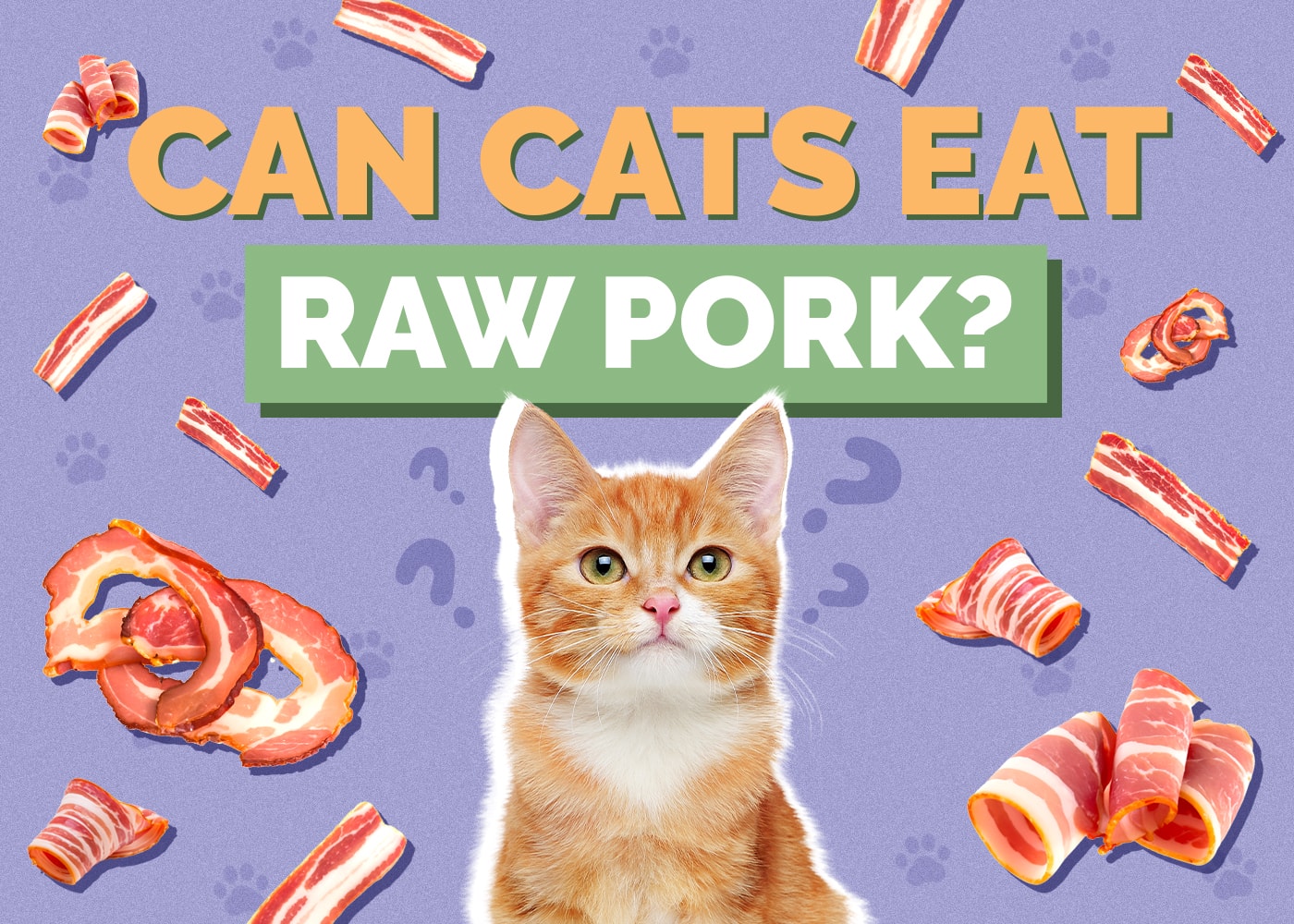 9 Potential Risks & Benefits of Raw Cat Food: Our Vet Explains | Hepper ...