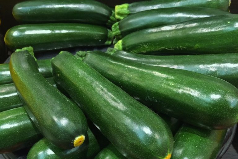 Can Cats Eat Zucchini? Vet-Reviewed Facts and Tips | Hepper Pet Resources