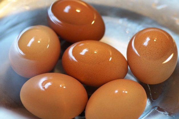 11 Vet Approved Homemade Cat Food Gravy Recipes | Hepper Pet Resources