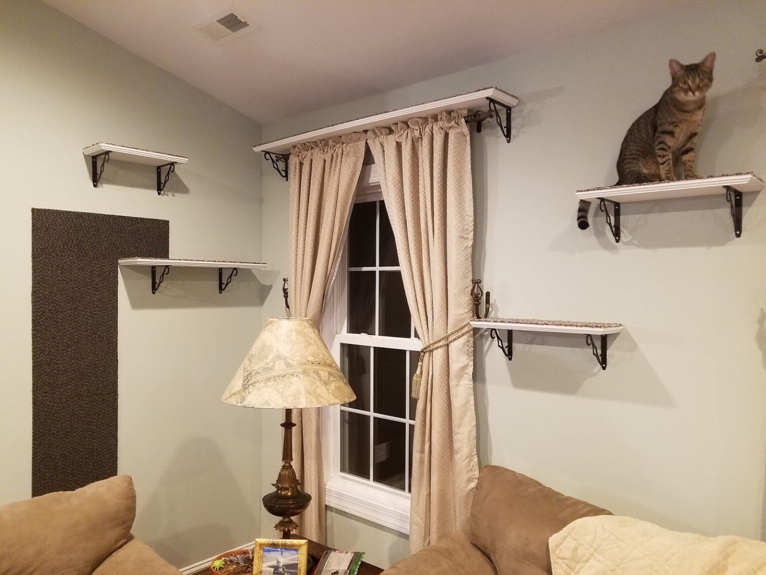 10 DIY Cat Wall Playground Plans You Can Build Today (With Pictures ...