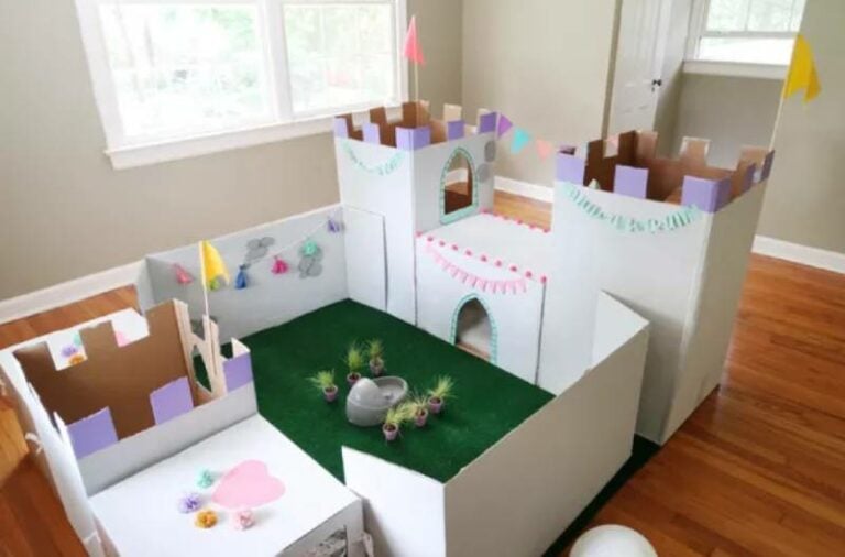 12 DIY Cat Enrichment Ideas to Try Today (With Pictures) | Hepper Pet ...