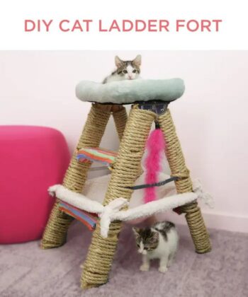 19 DIY Cat Furniture Plans You Can Build Today (with Pictures) | Hepper ...