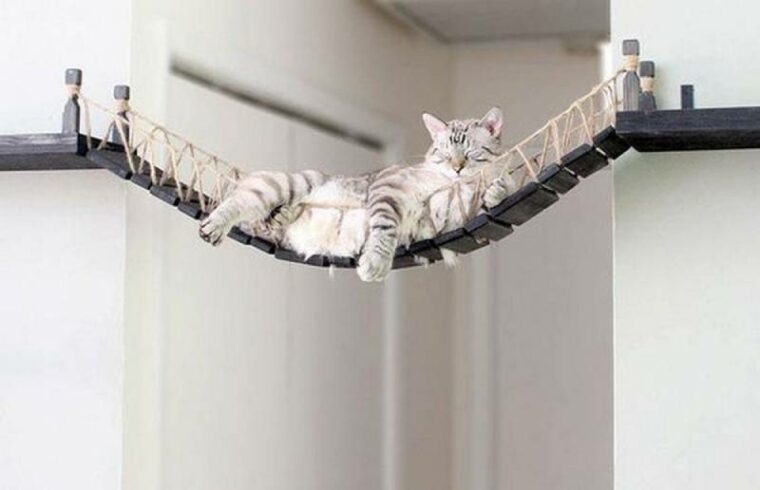 18 DIY Cat Shelves You Can Make Today (With Pictures) | Hepper Pet ...
