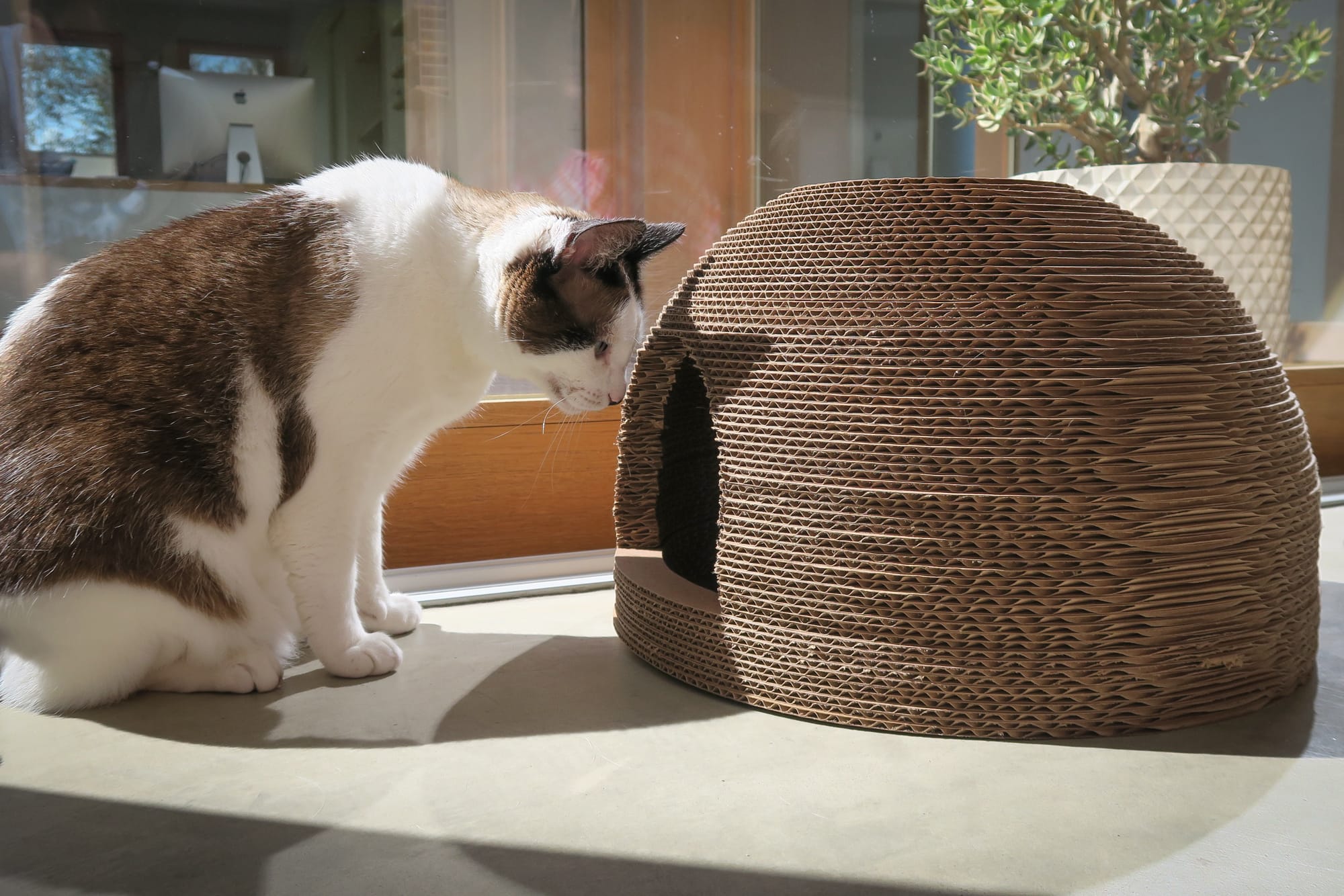 8 DIY Cardboard Cat Scratchers You Can Make Today (With Pictures ...