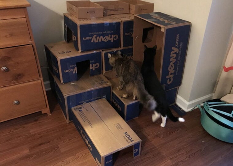 19 DIY Cardboard Cat Tree Plans You Can Make Today (With Pictures ...