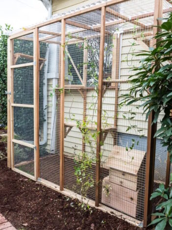 4 DIY Cat Run Plans You Can Make Today (With Pictures) | Hepper Pet ...