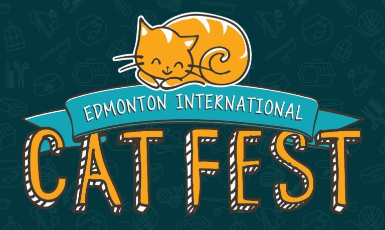 8 Biggest Cat Conventions and Festivals in the World (2025 Update ...