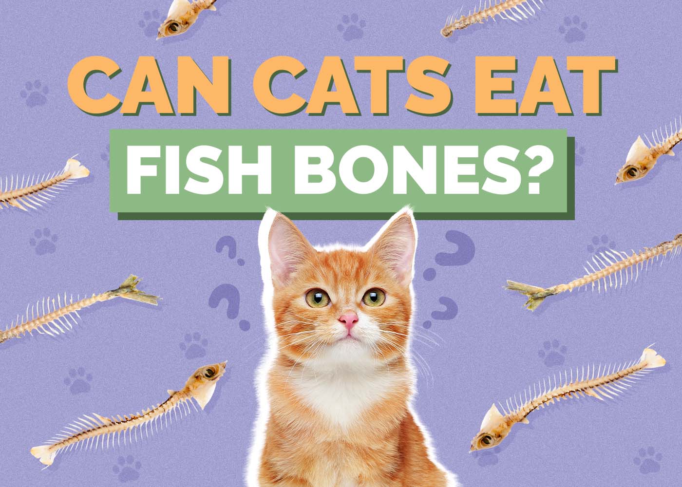 Can Cats Eat Fish Bones? Vet-Reviewed Safety Facts | Hepper Pet Resources