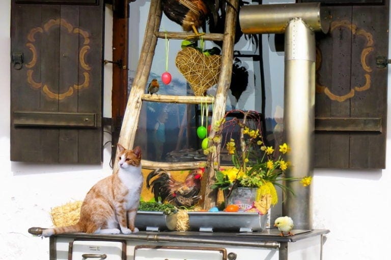 10 Free DIY Cat Ladder Plans You Can Make Today (With Pictures ...