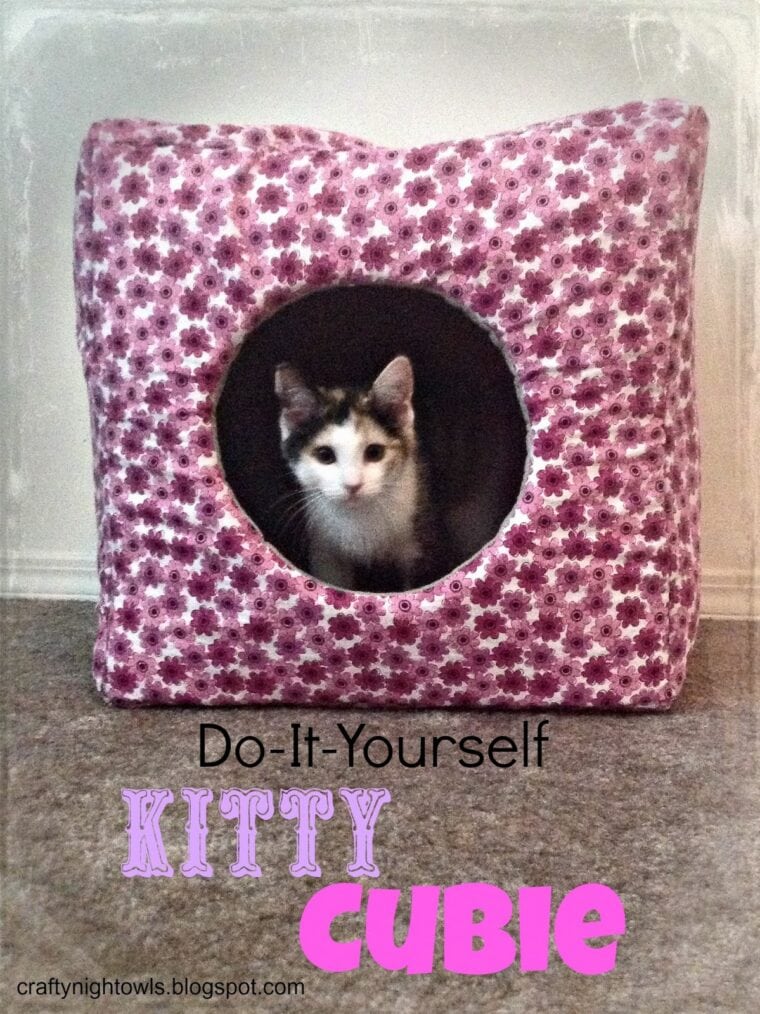 20 DIY Gifts for Cat Lovers You Can Make Today (With Pictures) | Hepper ...