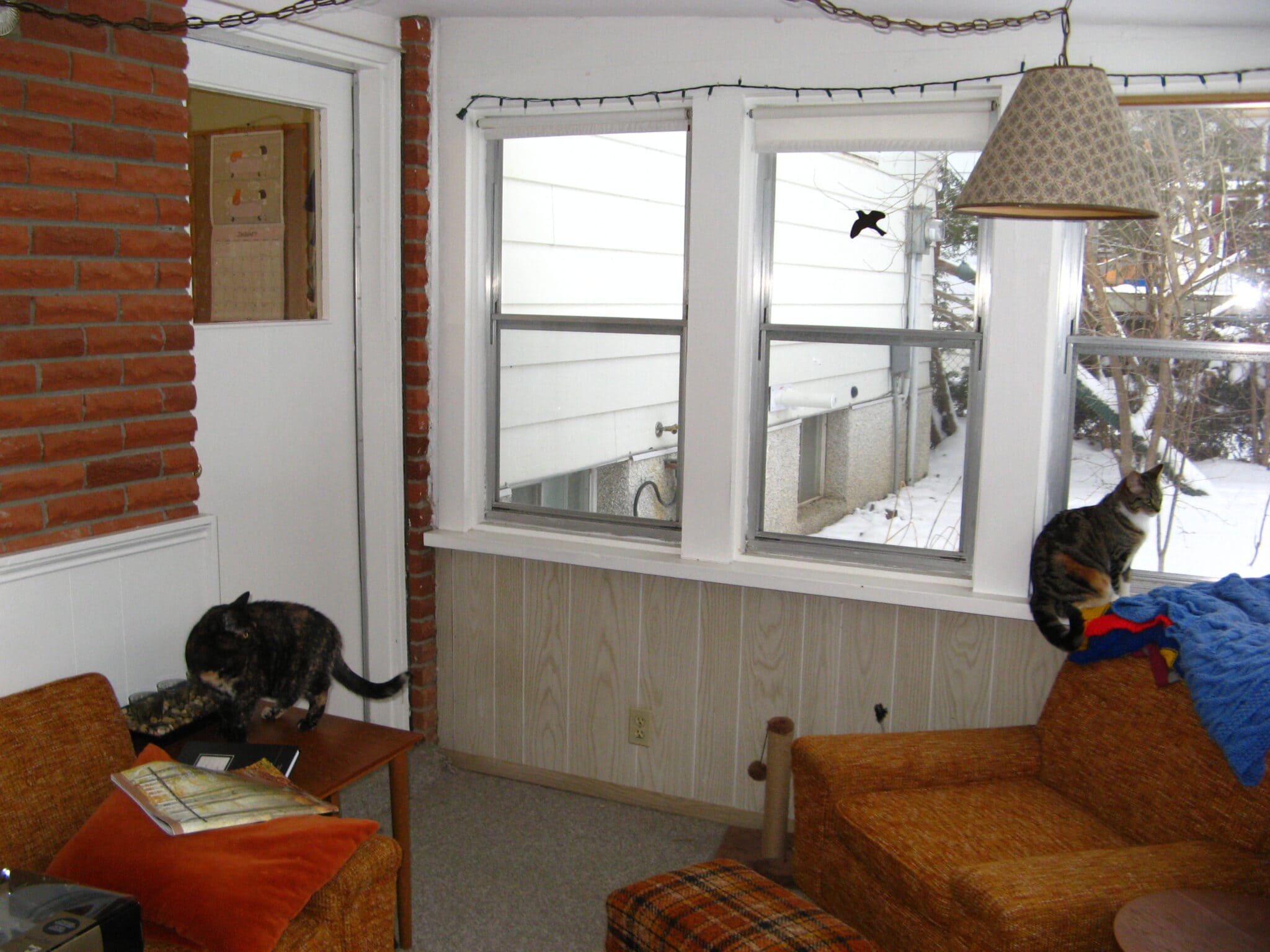 14 DIY Cat Door Plans You Can Make Today (With Pictures) | Hepper Pet ...