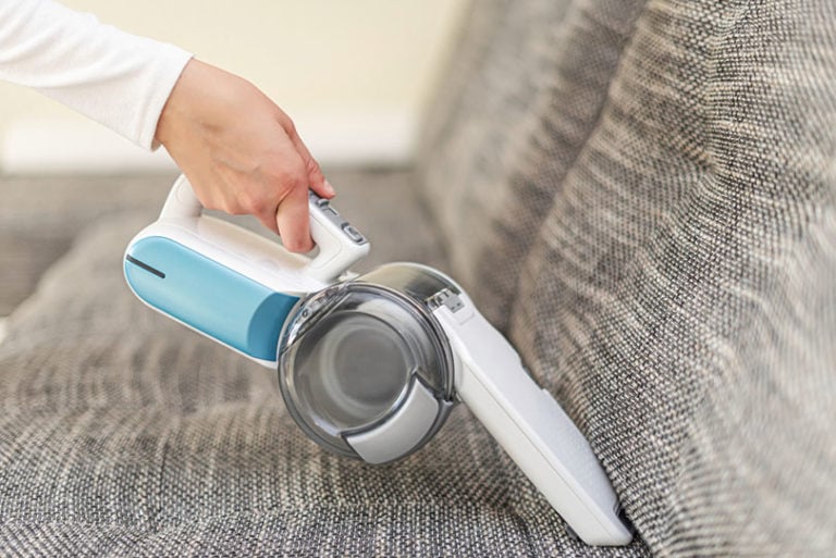 Molting in Rabbits: Signs, Causes & Care | Hepper Pet Resources