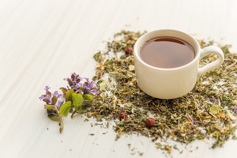 4 Homemade Catnip Tea Recipes for Cats: Vet-Reviewed Benefits | Hepper ...