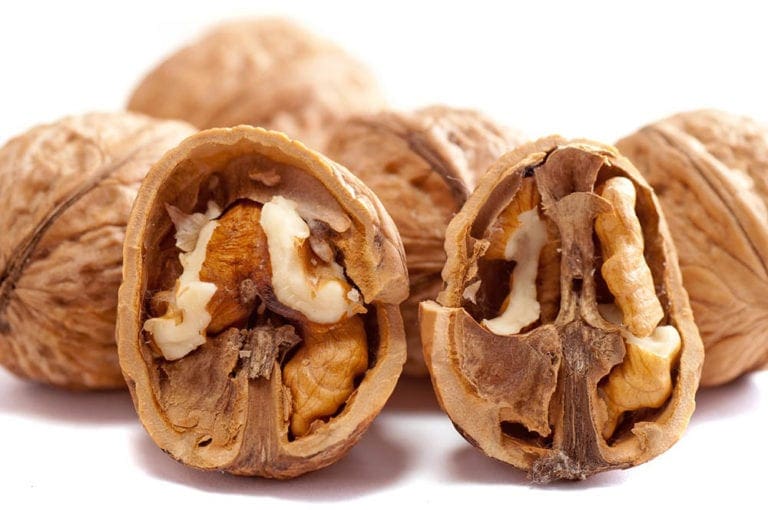 Can Dogs Eat Walnuts? Vet Approved Facts & FAQ | Hepper Pet Resources