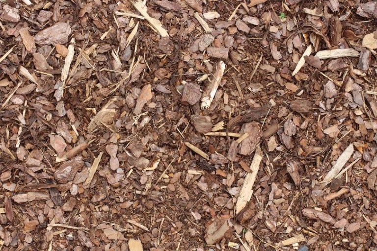 My Dog Ate Mulch, What Should I Do? Vet Approved Facts & FAQ | Hepper ...