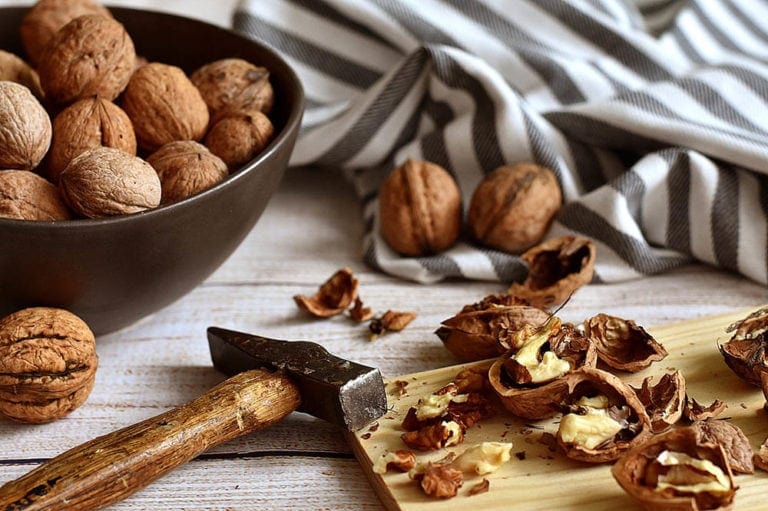 Can Cats Eat Walnuts? Vet-Reviewed Health & Safety Guide | Hepper Pet ...