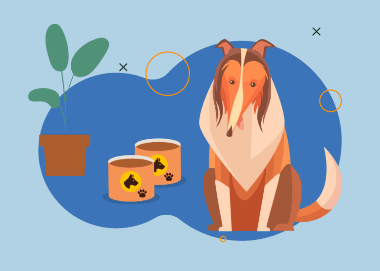 Dog Food Reviews 2026 – Brands & Ratings | Hepper Pet Resources