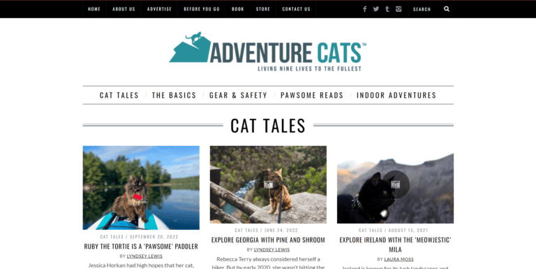 8 Best Cat Websites in 2026: Fun & Educational Resources | Hepper Pet ...