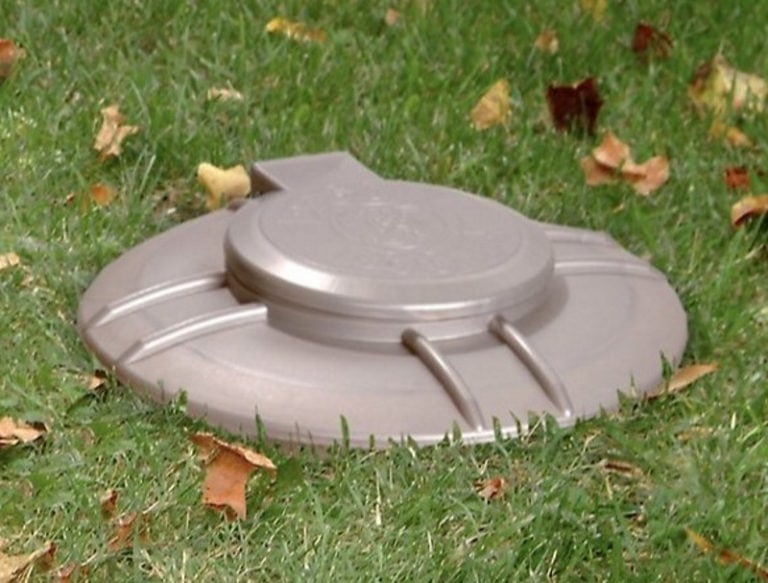 What Dissolves Dog Poop in the Yard? 4 Potential Choices | Hepper Pet ...