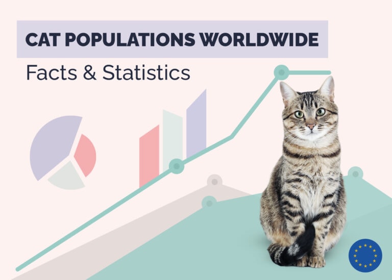How Many Pet Cats Are There in the World? 2025 Updated Statistics ...