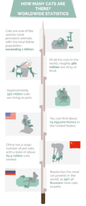 How Many Pet Cats Are There in the World? 2025 Updated Statistics ...