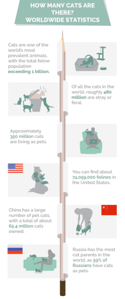 How Many Pet Cats Are There in the World? 2025 Updated Statistics ...