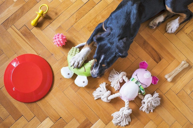 15 DIY Indestructible Dog Toys for Heavy Chewers You Can Make Today ...