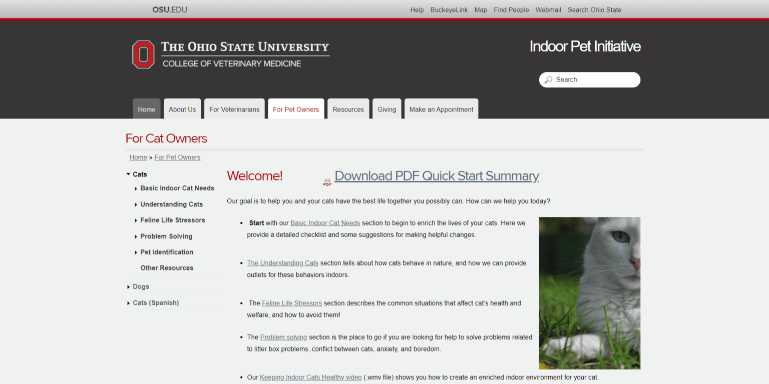 8 Best Cat Websites in 2026: Fun & Educational Resources | Hepper Pet ...