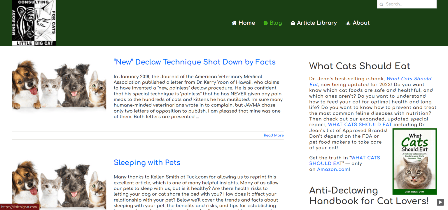 8 Best Cat Websites in 2025: Fun & Educational Resources | Hepper Pet ...