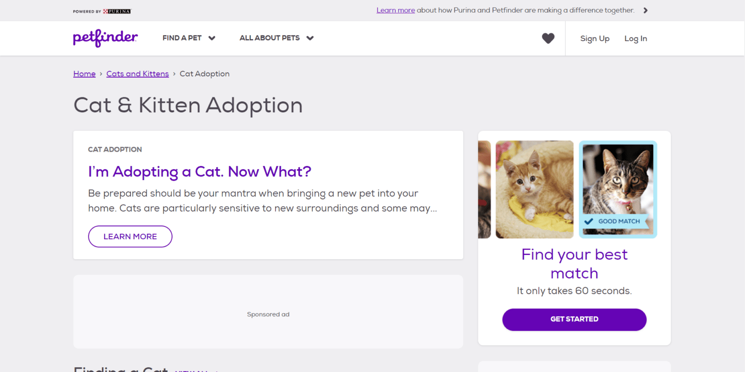 8 Best Cat Websites in 2026: Fun & Educational Resources | Hepper Pet ...