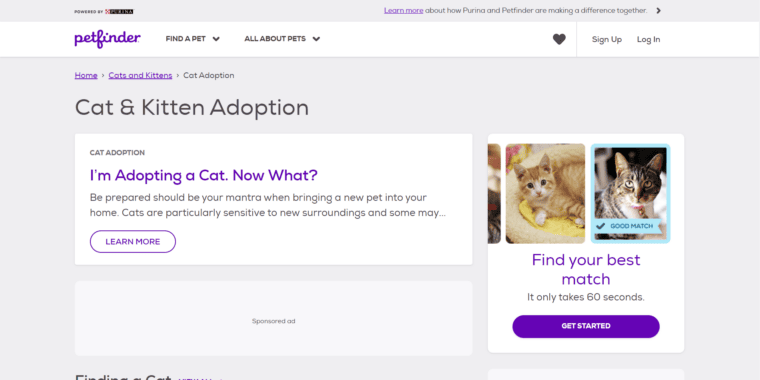 8 Best Cat Websites in 2026: Fun & Educational Resources | Hepper Pet ...