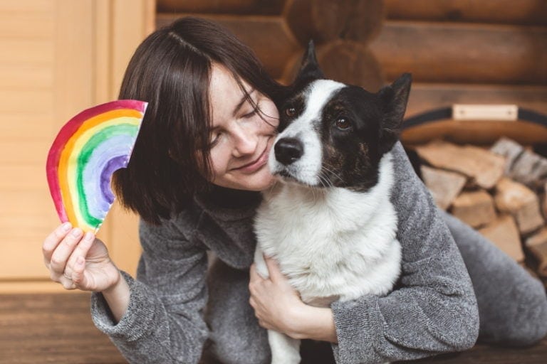 Can Dogs See Color? Vet-Reviewed Canine Eye Perception Facts | Hepper ...