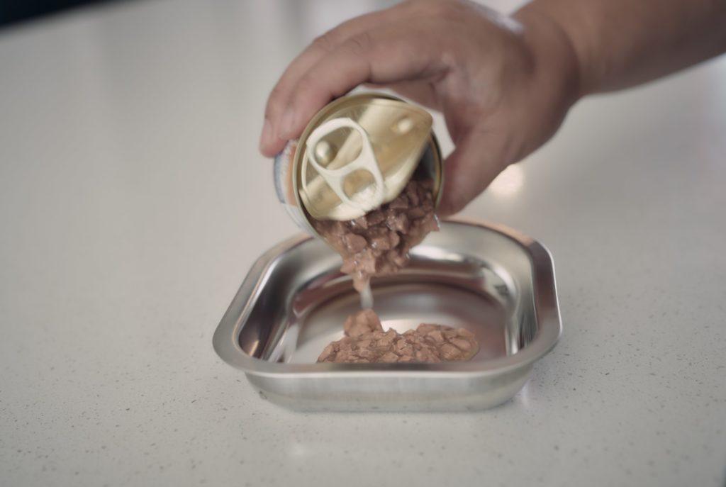 Benefits and Downsides of Wet Food for Cats: Vet-Reviewed Nutrition ...