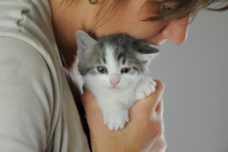 17 Gifts For Someone Who Lost a Cat: Thoughtful & Kind Ideas | Hepper ...