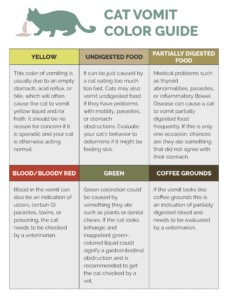 Cat Vomit Colors: Meanings & Color Chart (Vet Answer) | Hepper Pet ...