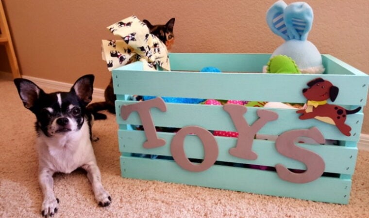 9 DIY Dog Toy Boxes You Can Make Today (With Pictures) | Hepper Pet ...