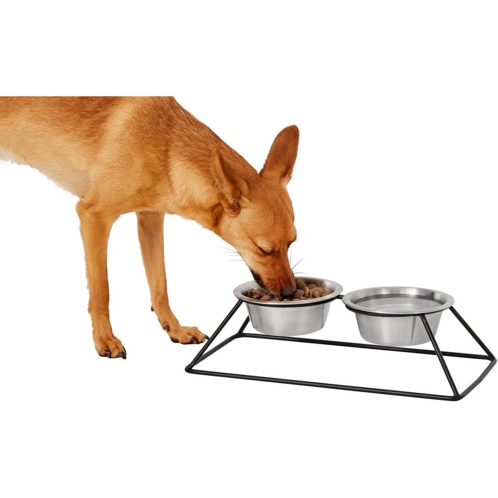 8 Best Raised Cat Bowls - 2026 Reviews & Top Picks | Hepper Pet Resources