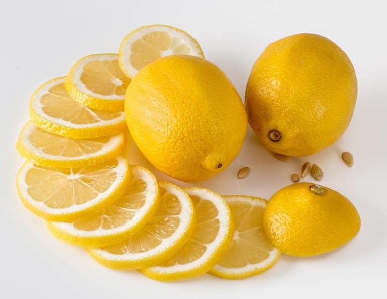 Can Cats Eat Lemons? Vet-Reviewed Safety Facts & FAQ | Hepper Pet Resources