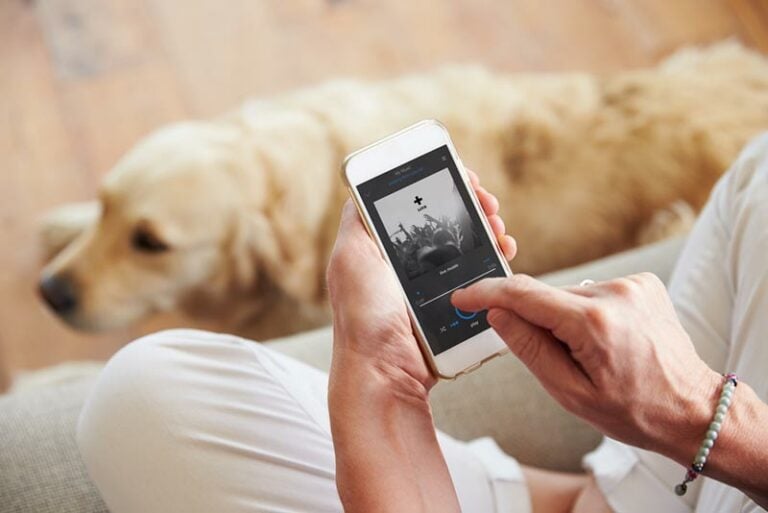 What Kind of Music Do Dogs Like? What the Science Tells Us | Hepper Pet ...