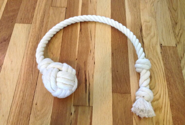 11 DIY Dog Rope Toys You Can Make Today (With Pictures) | Hepper Pet ...