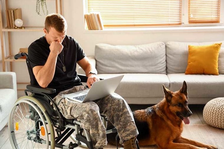 10 Best Mobility Service Dog Breeds (With Info & Pictures) | Hepper Pet ...